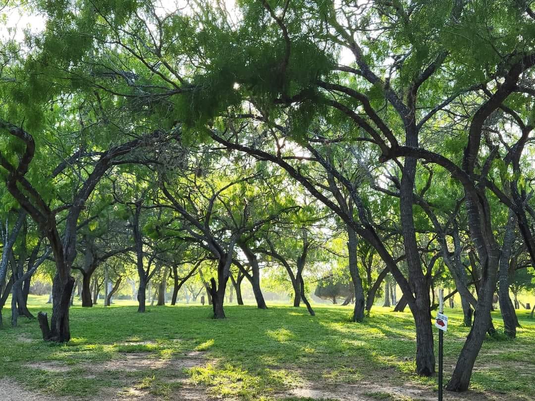 Home | Wilderness Lakes RV Resort