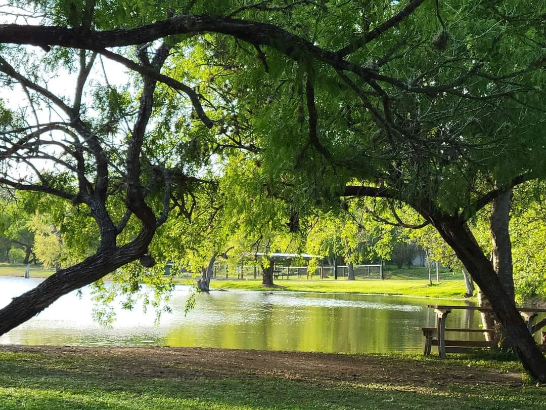 Photos | Wilderness Lakes RV Resort