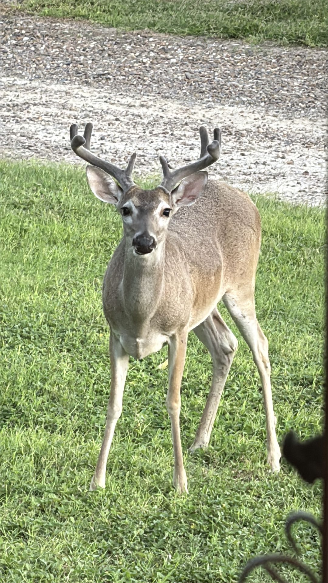 Photos | Wilderness Lakes RV Resort